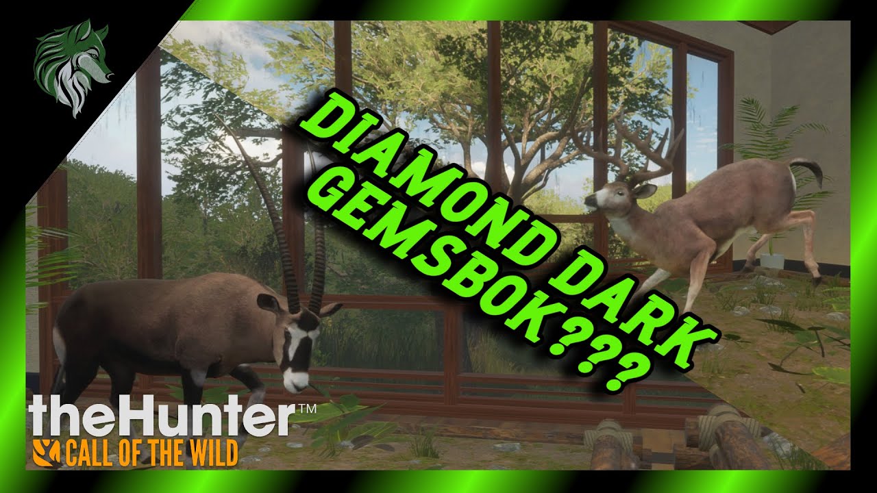 DIAMOND WHITETAIL AND DARK GEMSBOK??? Stream Highlights #15 | TheHunter ...