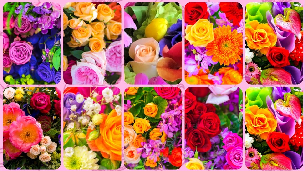 Multi Colors Flowers Stunning Wallpaper @Nature Beautiful Wallpapers ...