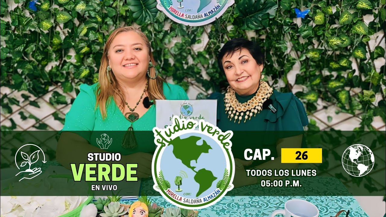 Studio Verde: En Vivo || Conversatorio #26 || La Odontología y el medio ...