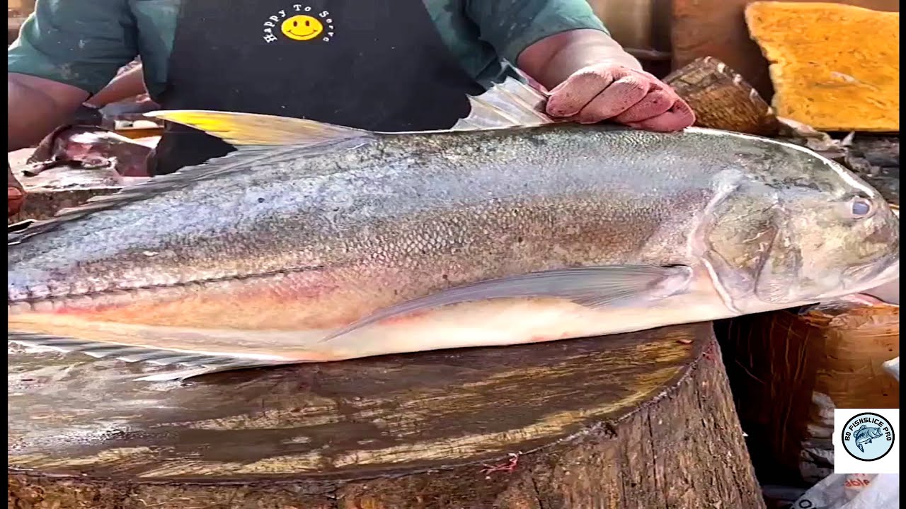 Amazing Fish Cutting Skills | Never Seen Before | Fish Market in ...