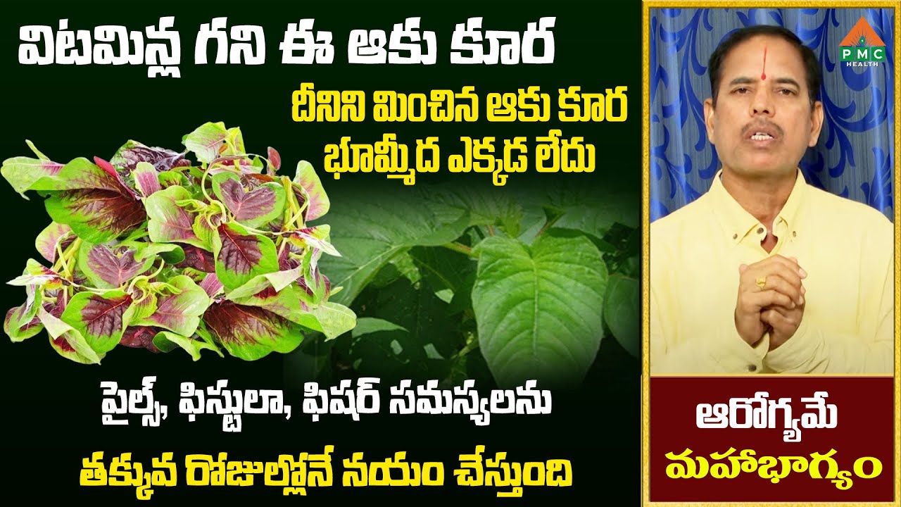 Health Benefits Of Thotakura | Amaranth Greens | Dr.Srinivasulu | PMC ...