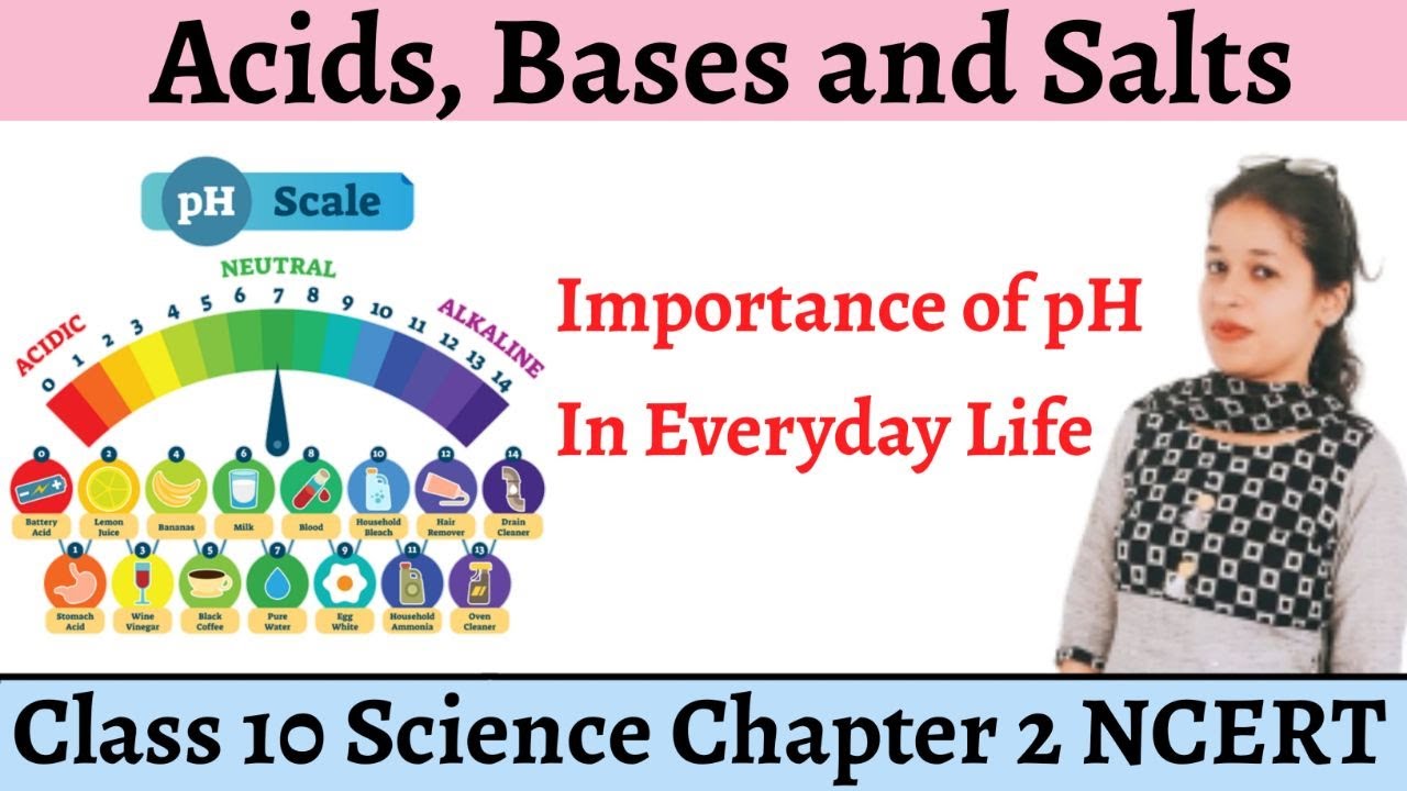 Importance Of PH In Everyday Life Acids Bases And Salts Class 10