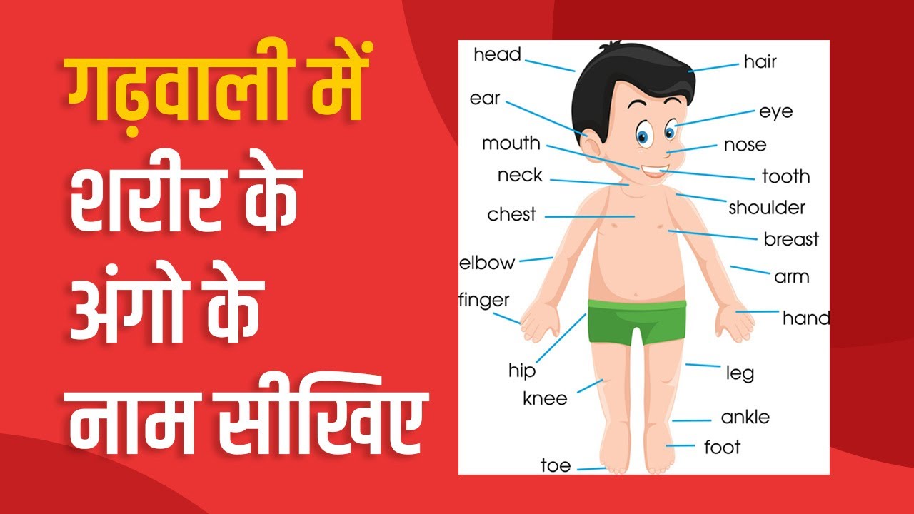 Garhwali Language - Part of Body in Garhwali - YouTube