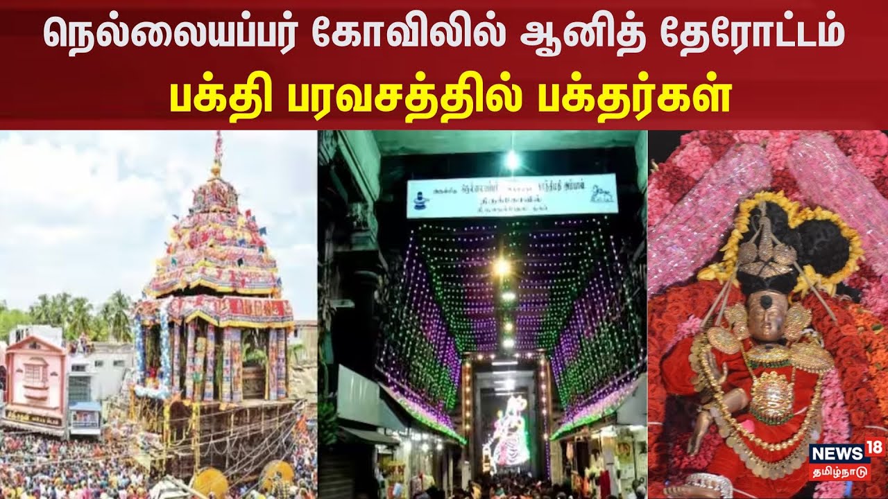 நெல்லையப்பர் கோவிலில் ஆனித் தேரோட்டம் - பக்தி பரவசத்தில் பக்தர்கள் ...