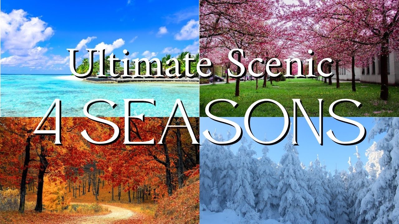 4 Seasons:4K UHD Scenic Relaxation, Calming Music, Beautiful Scenery ...