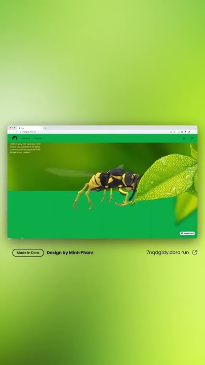 Copy your Figma Design and Paste in Dora to create 3D dynamic web page #figma - YouTube
