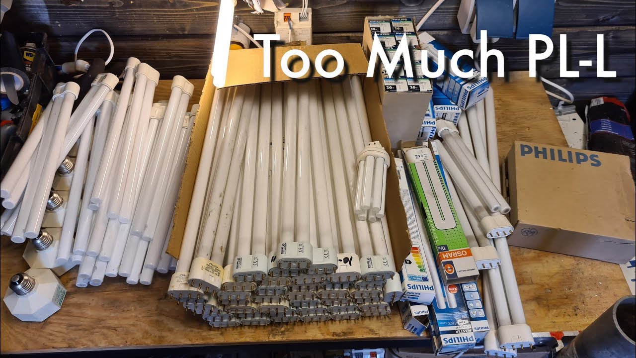 My Entire PL Bulb Collection! (PL-S,T,L,C) - YouTube