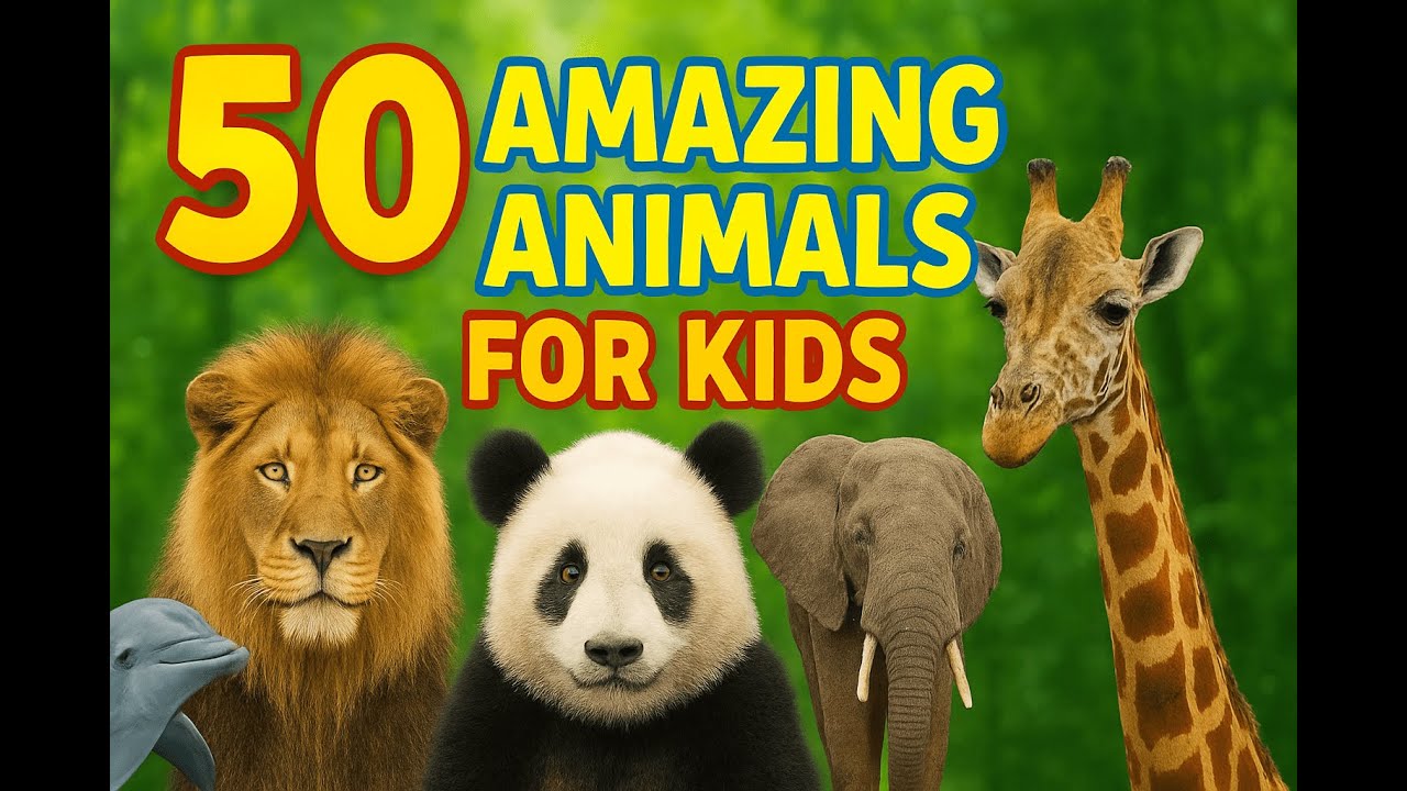50 Amazing Animals for Kids! Learn Cool Animal Facts - YouTube
