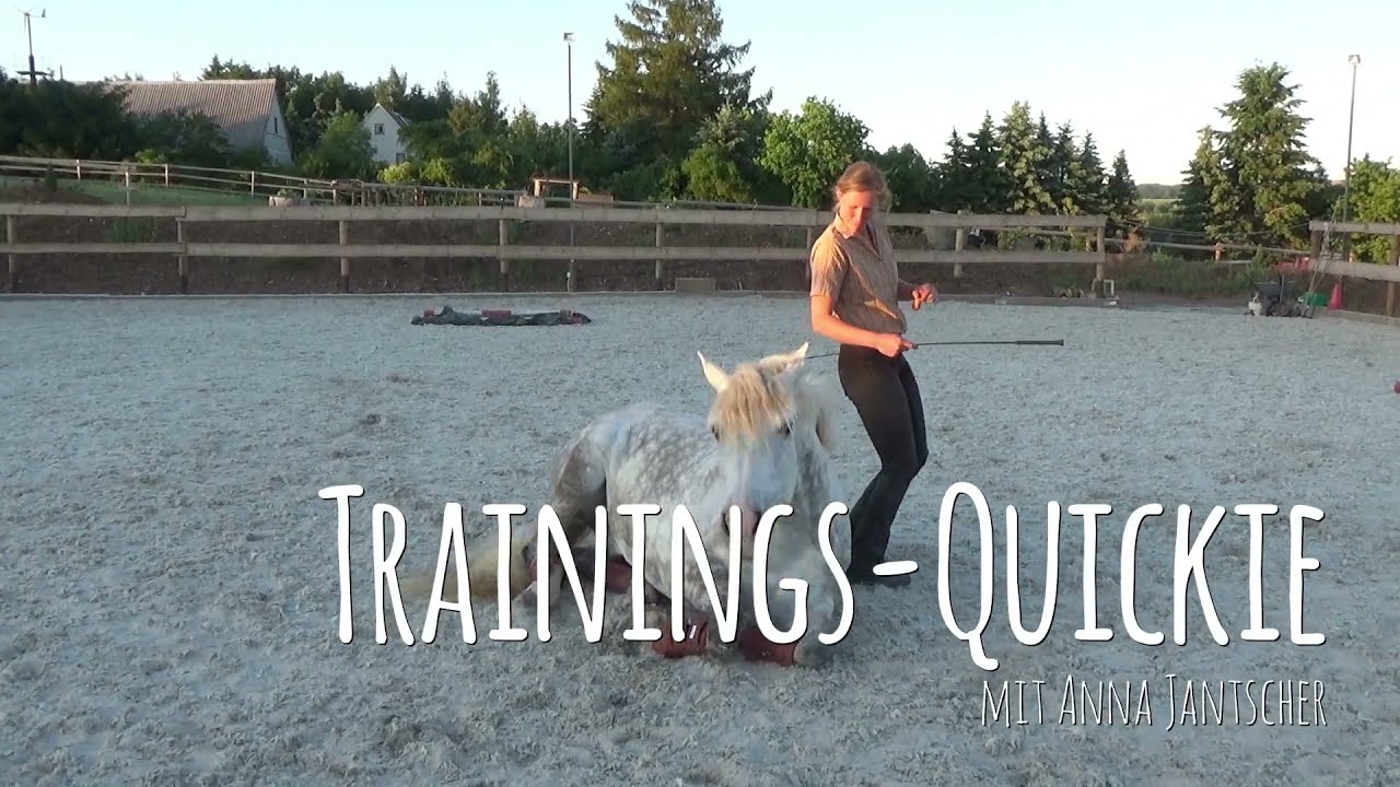 Trainings Quickie mit Anna Jantscher - YouTube