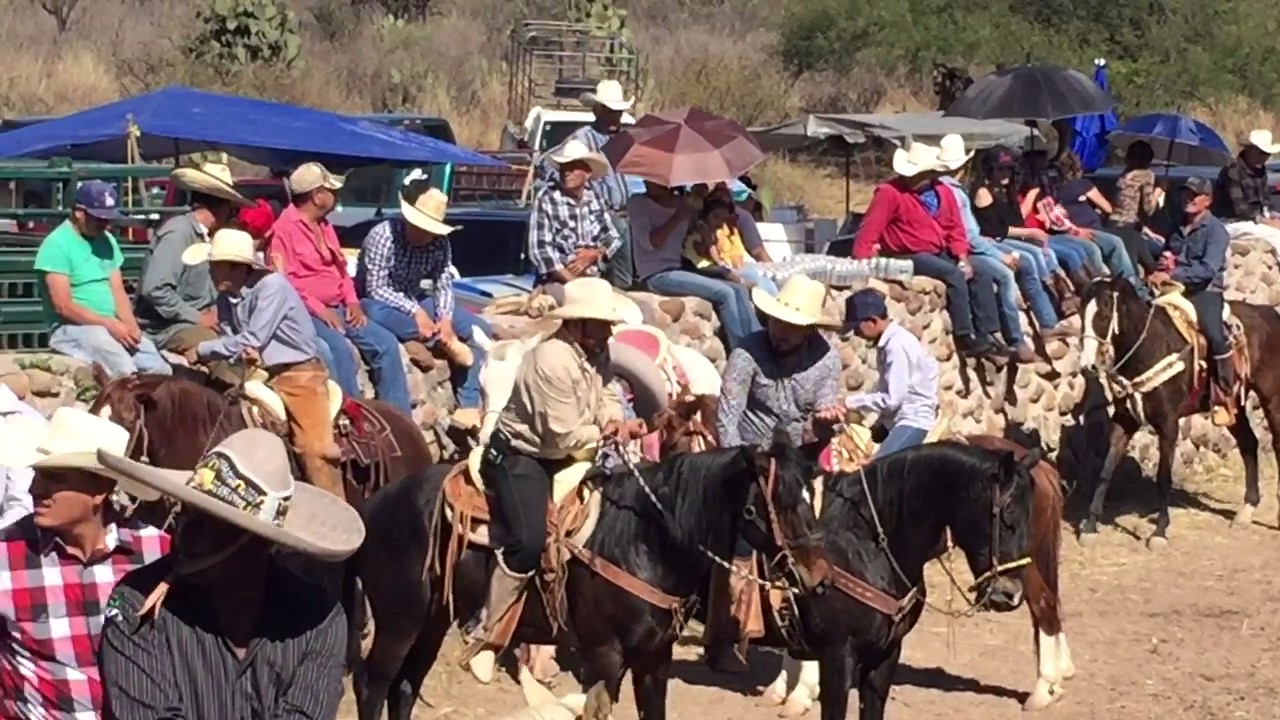 Coleadero. Aguacate.De.Arriba.2016 - YouTube