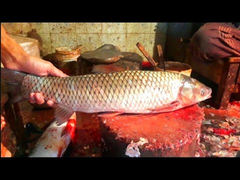 Giant Glass Cup Fish Cutting Skills / Live Fish Market Fish Cutting ...