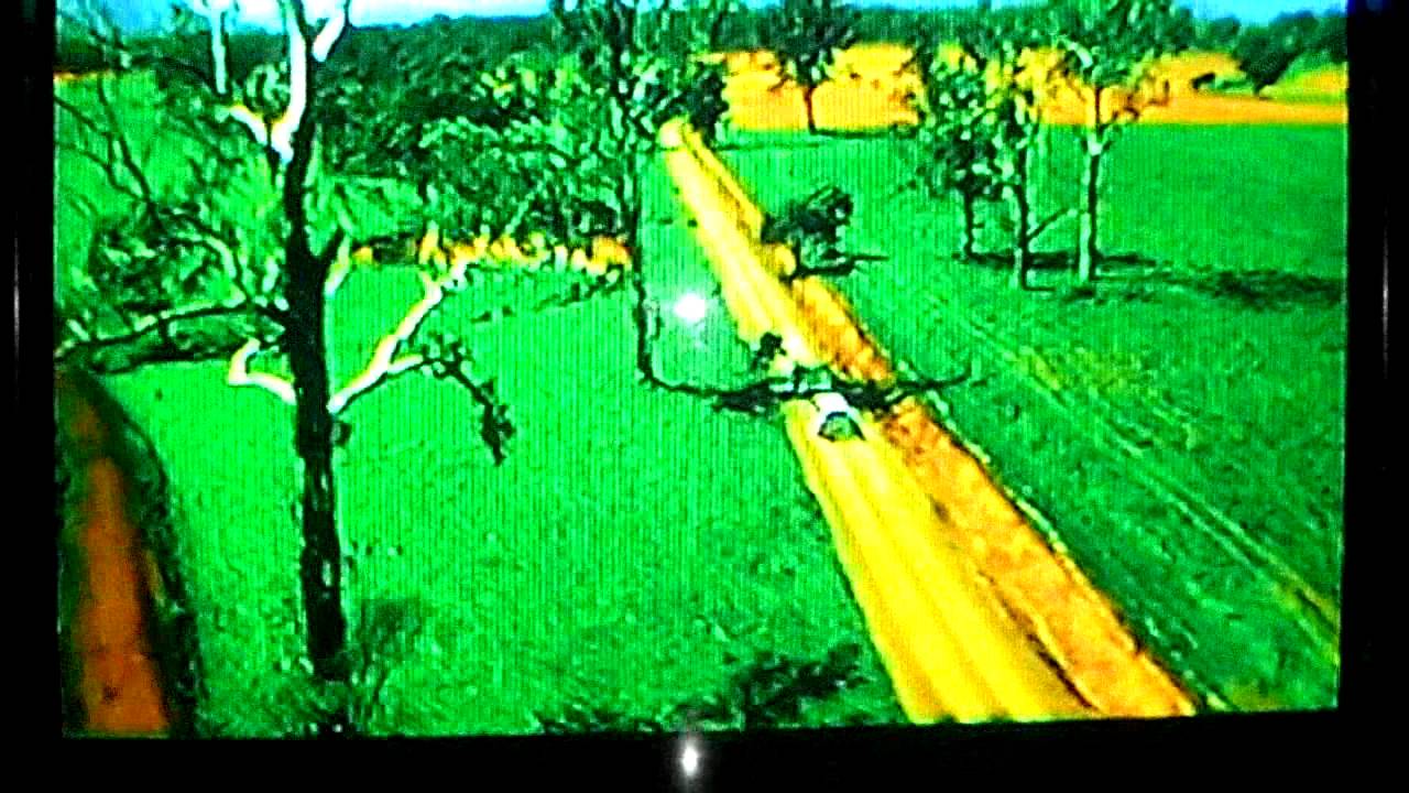 VIENDO ANIMAL PLANET XD-KILLAZpoin - YouTube