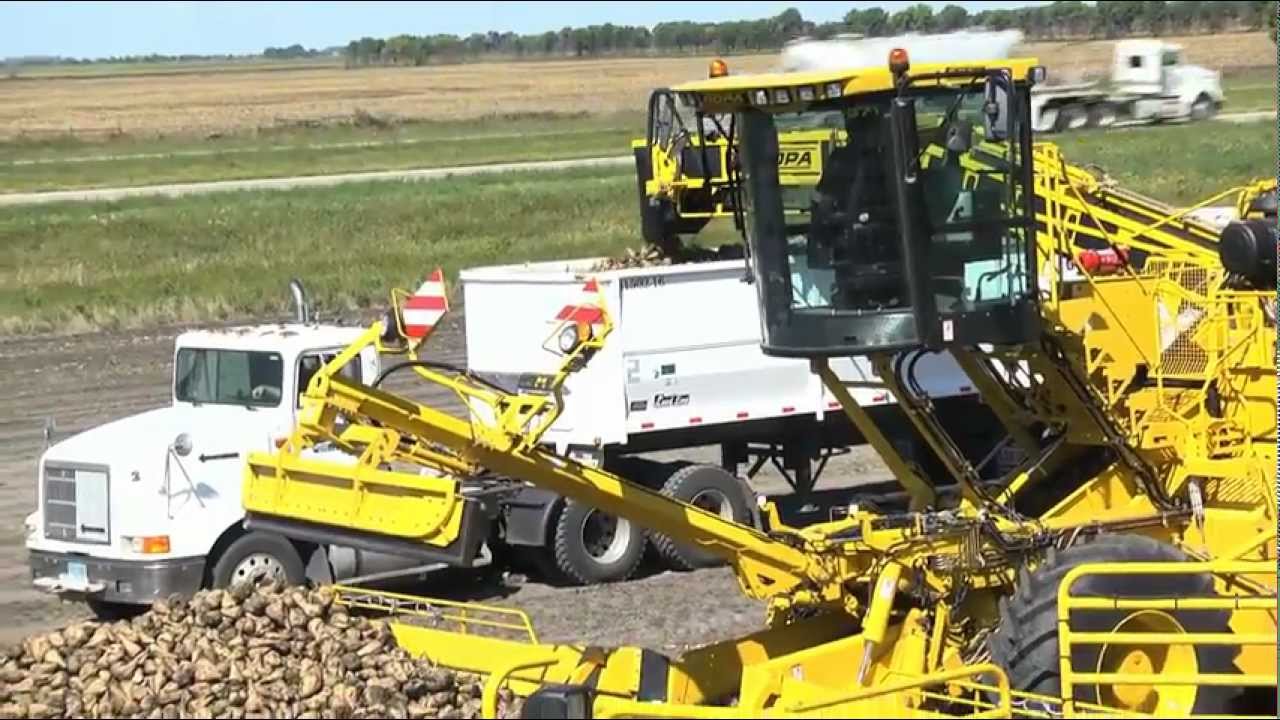 ROPA euro-Tiger V8-4 XL im Großeinsatz in den USA | LandtechnikTV - YouTube