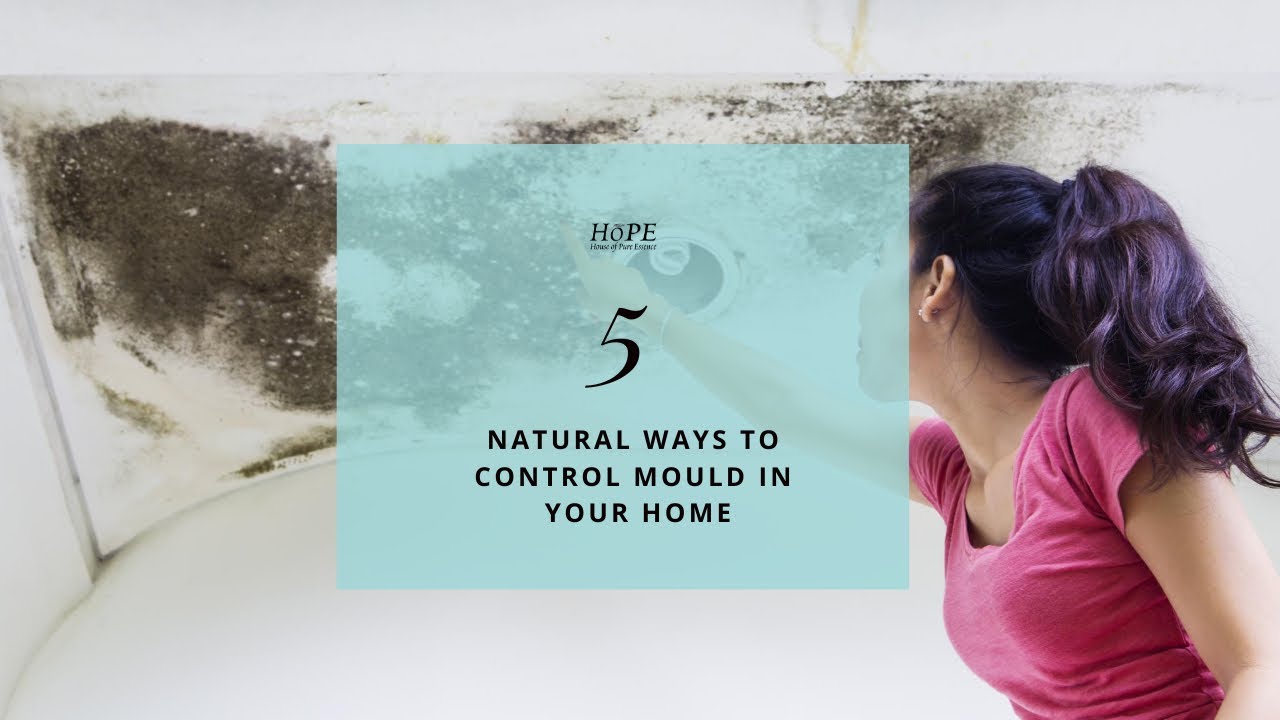 5 Natural Ways to Control Mould in Your Home - YouTube
