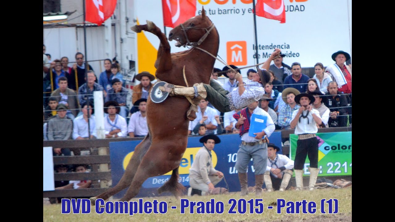 DVD Completo Prado 2015 - ( Parte 1) - YouTube
