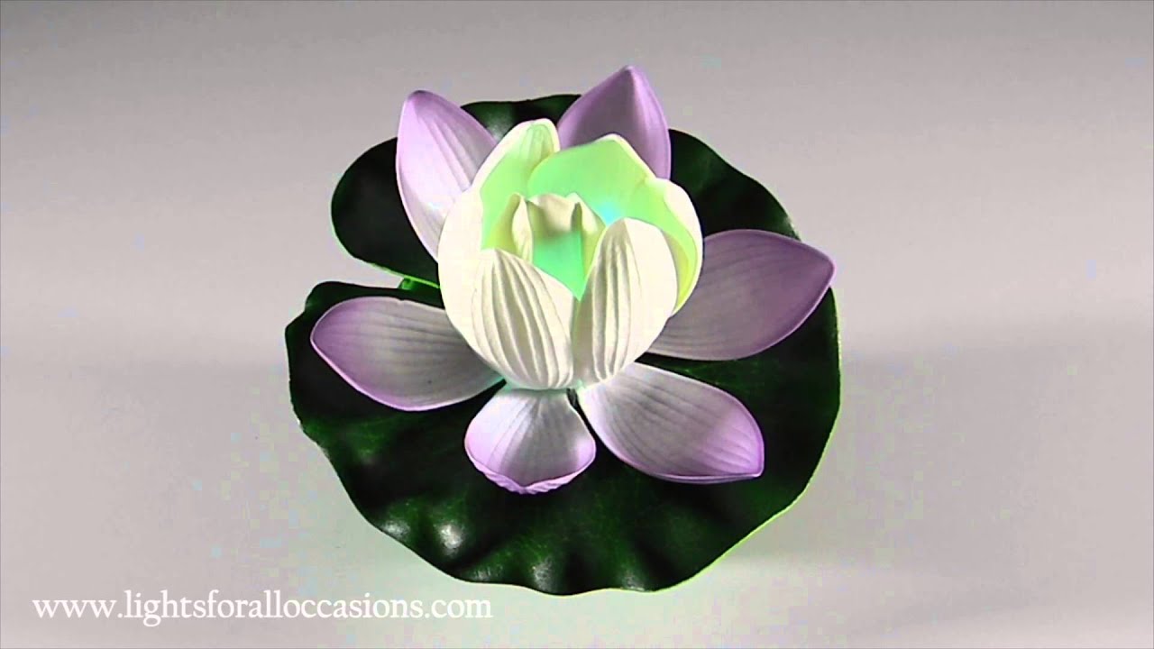 Floating Lotus Lily Pad with Color Changing LED-Demo - YouTube