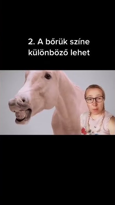 5 dolog, amit nem tudtál a lovakról - YouTube