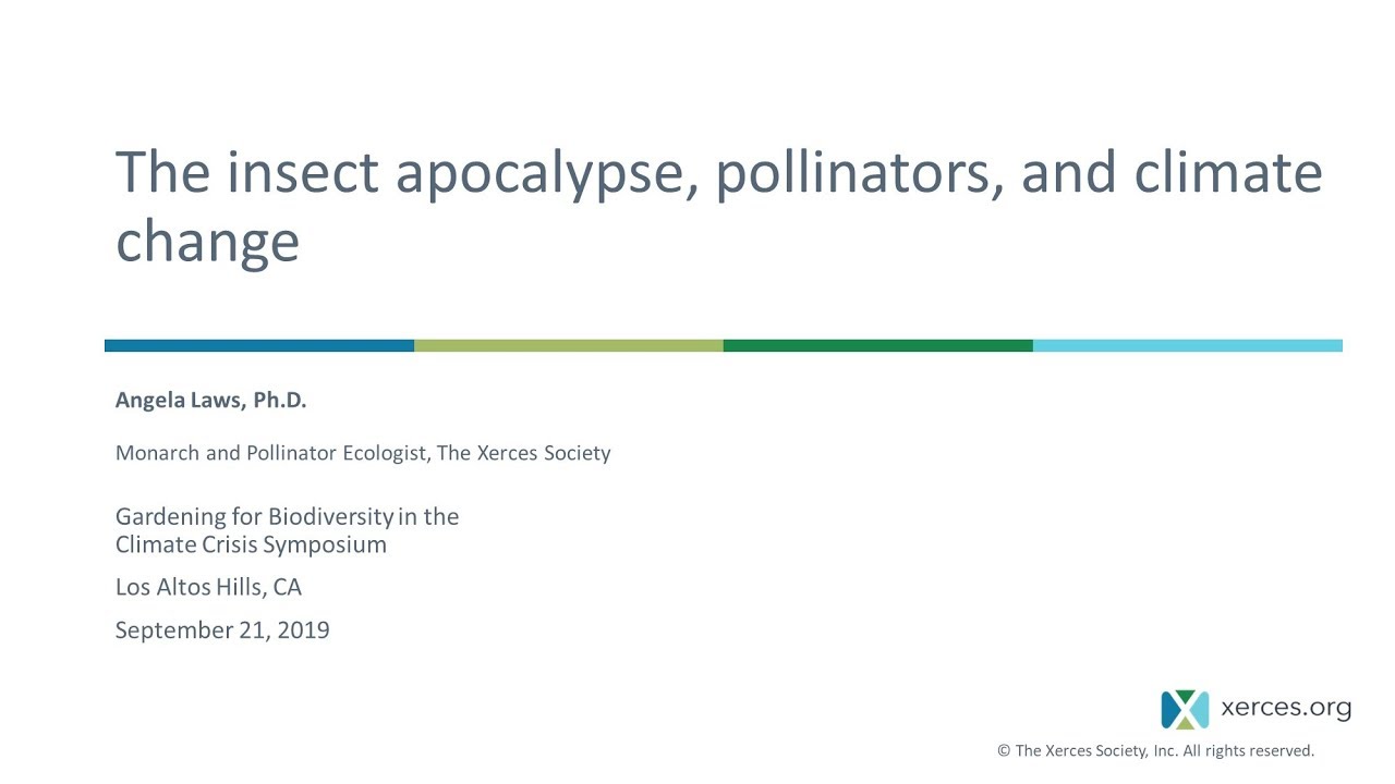 The insect apocalypse, pollinators, and climate change - YouTube