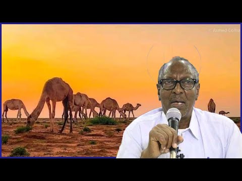 Suugaanta Caruurta || Axmed Faarax Cali Idaajaa. - YouTube