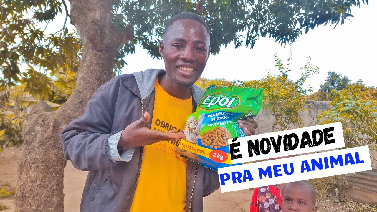 ALIMENTAÇÃO PARA O MEU ANIMAL DOMÉSTICO - YouTube