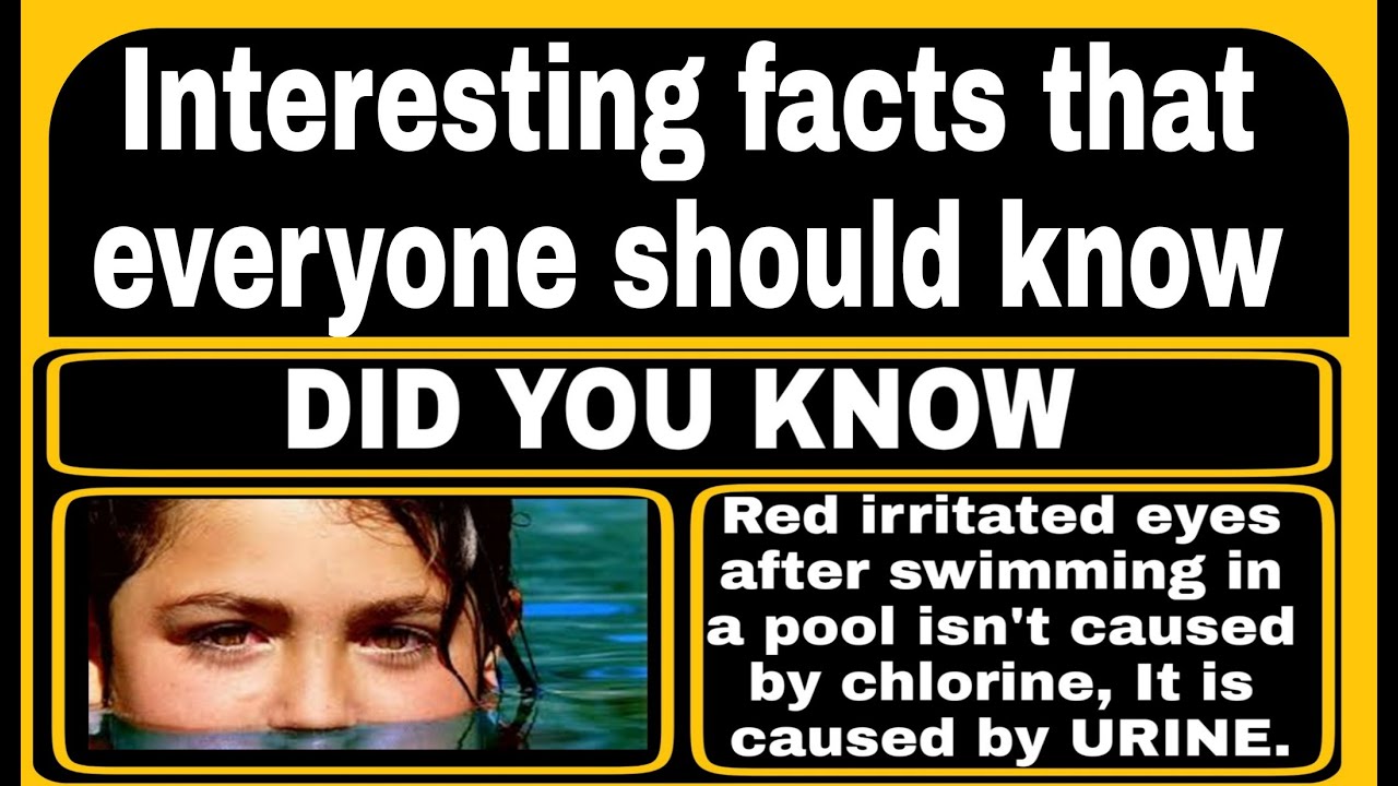 Interesting facts | Amazing facts that Everyone should know #Didyouknow ...