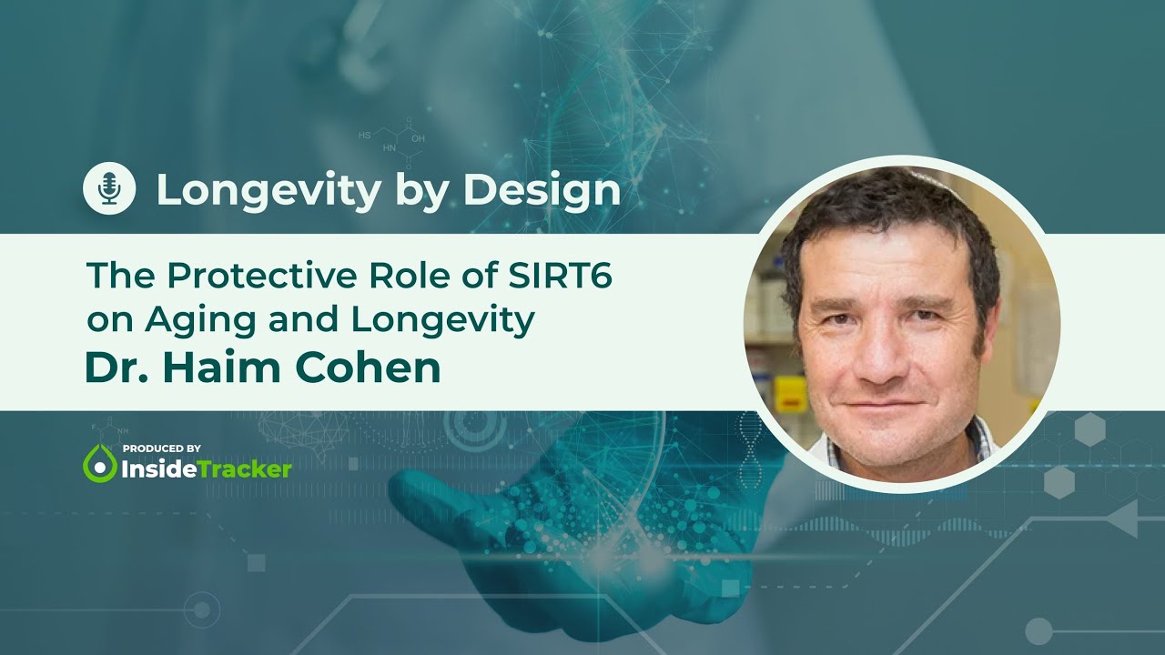 Dr. Haim Cohen — The Protective Role of SIRT6 on Aging and Longevity ...