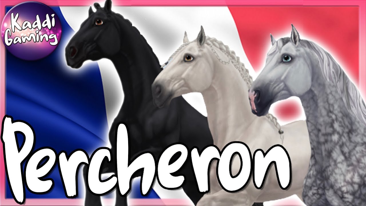 Kaltblütiger Franzose - Das Percheron PFERDEKAUF 🐴 STAR STABLE ONLINE ...