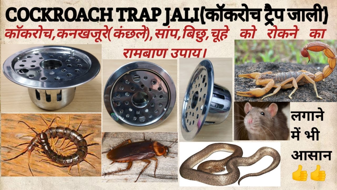 Cockroach Trap Jali. कोकरोच,सांप,बिच्छू,कनखजूरे,चूहे और कीड़े मकोड़े ...