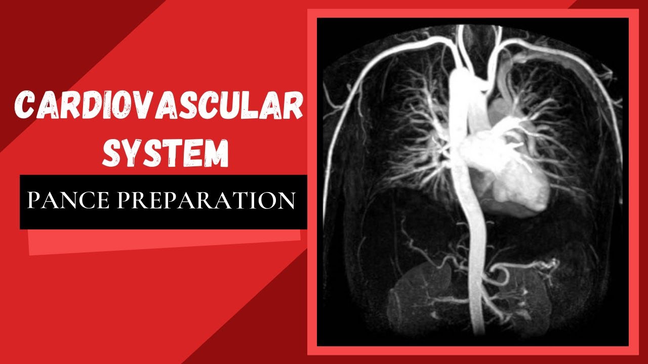 Cardiovascular System: PANCE Preparation - YouTube