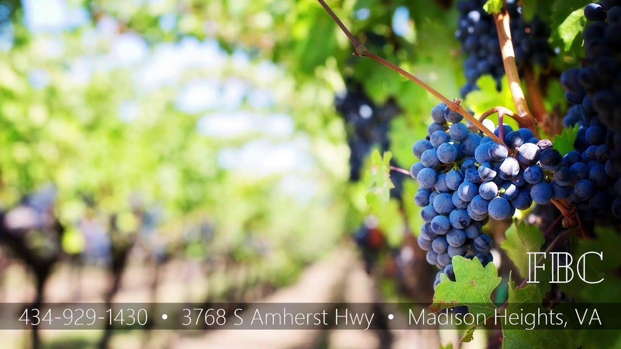 Sunday School - Albert Riner - YouTube