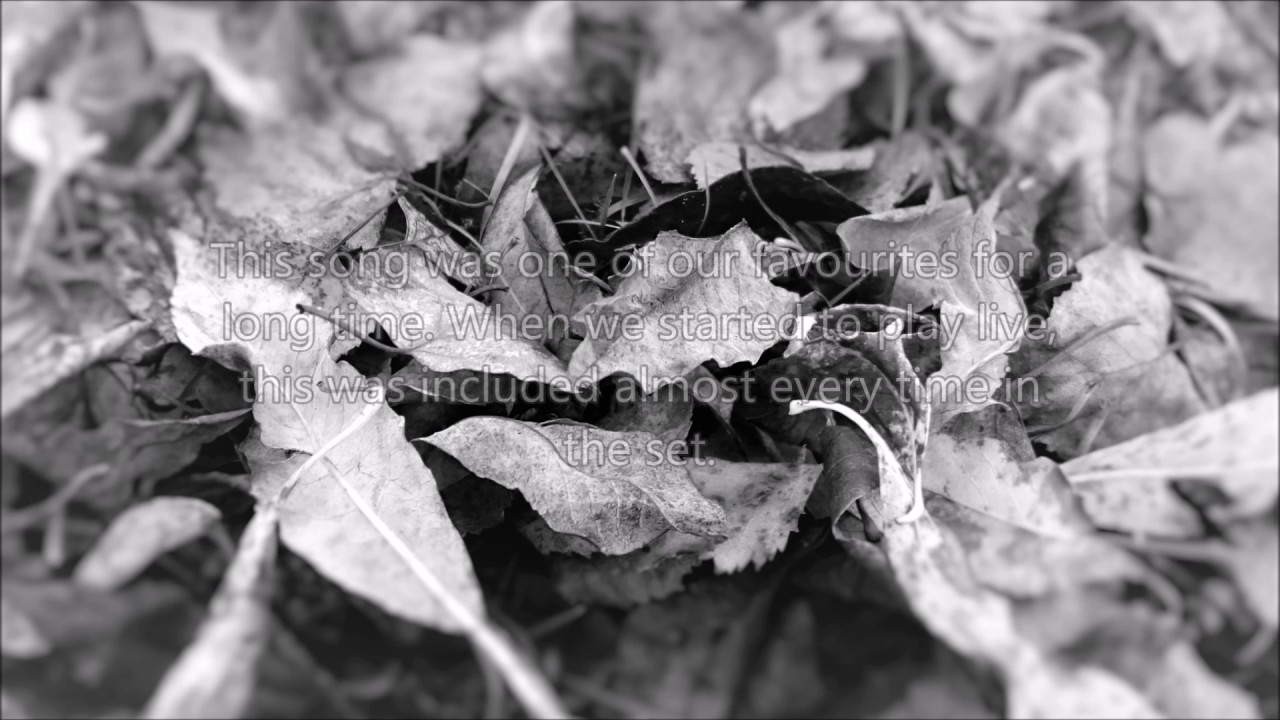 Fall of the Leafe - Instrumental demo #11 - YouTube Music