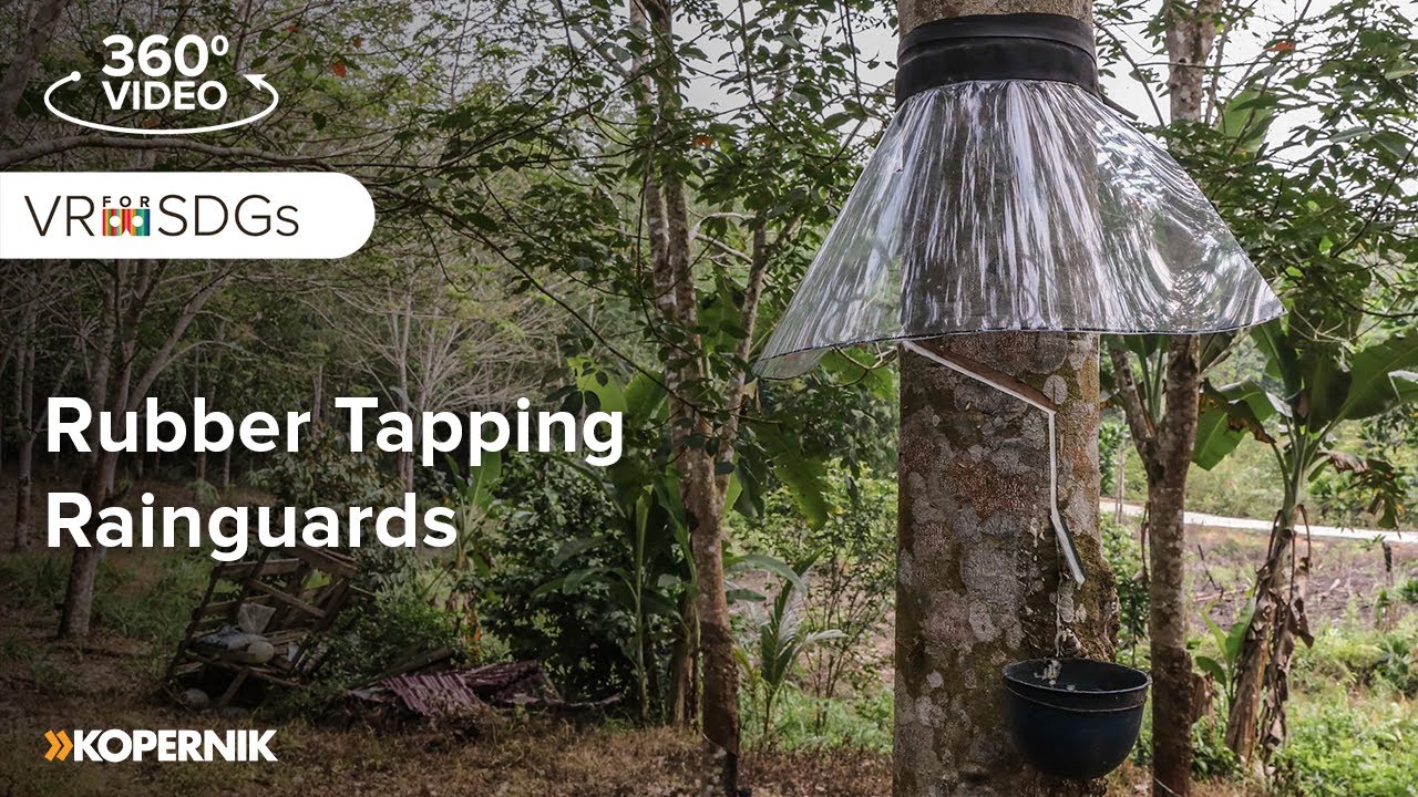 Rubber Tapping Rainguards - YouTube