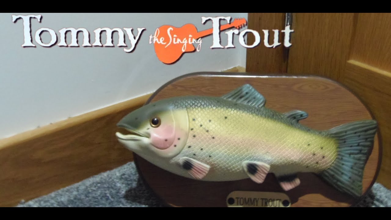 Tommy the singing trout - YouTube