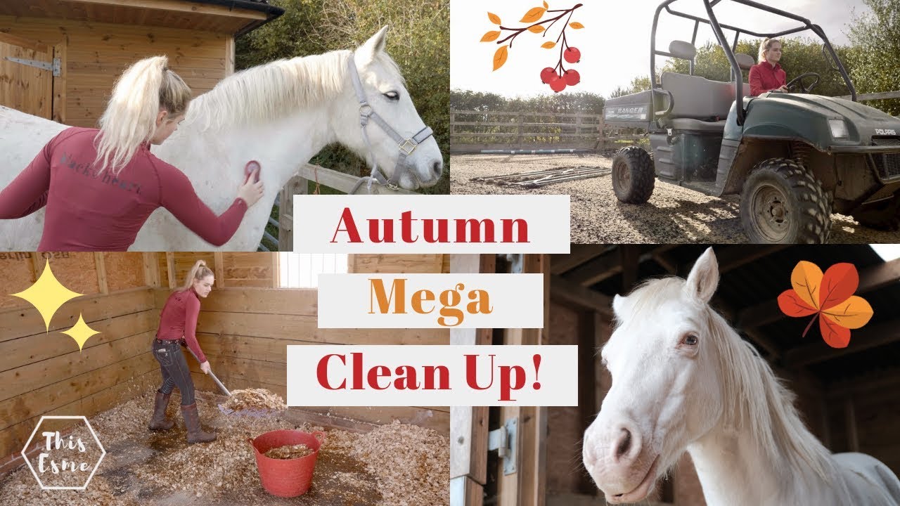 Autumn/Fall Massive Equestrian Clean up Routine of the Stables/Barn ...