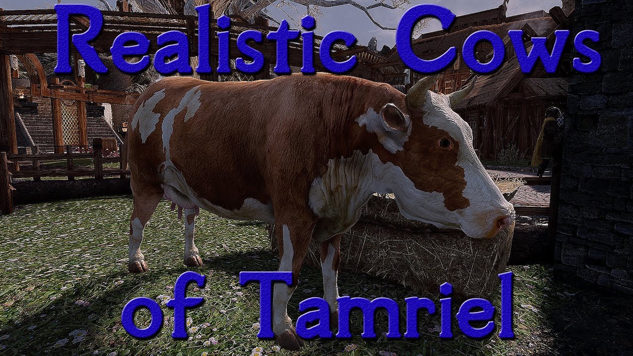 Skyrim SE Mod Spotlight:Realistic Cows of Tamriel - YouTube