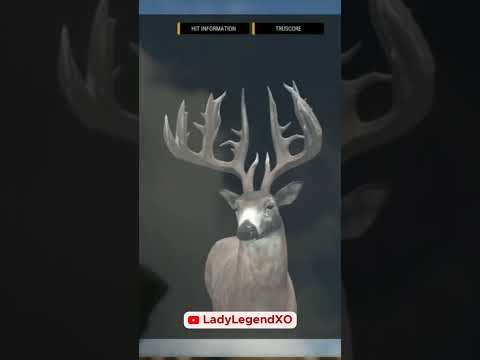 GREAT ONE Whitetail RACKS!!! 😳😳😳- Call of the Wild #Shorts - YouTube