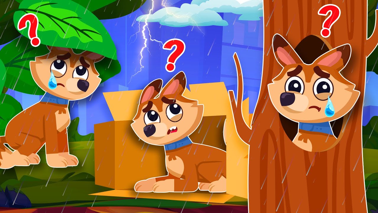 Where Is My Home 🏡 | Kids Songs | Comy Zomy - YouTube