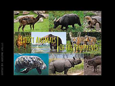 Extinct animals of the Philippines