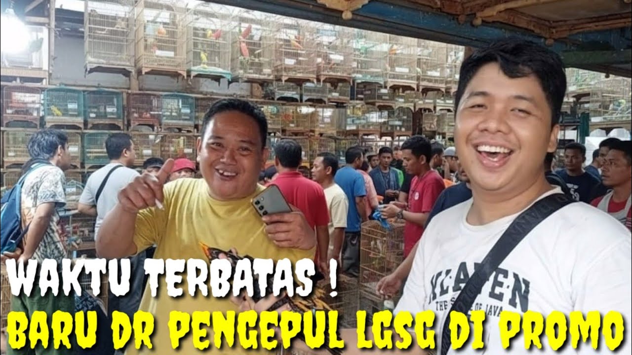 BARU TURUN DARI PENGEPUL, LANGSUNG DI KASIH HARGA PROMO DAN WKT ...