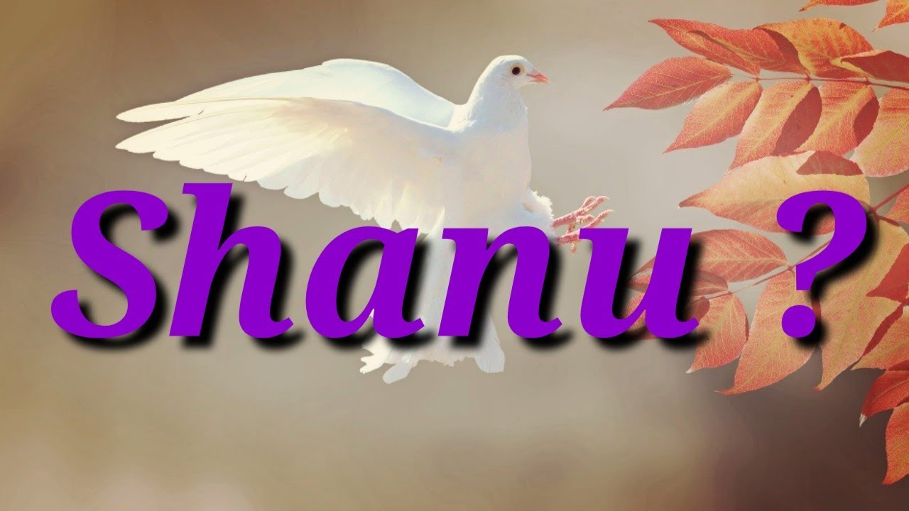 Shanu Name Ke Meaning | Shanu Name Status | Shanu Naam Ka WhatsApp ...