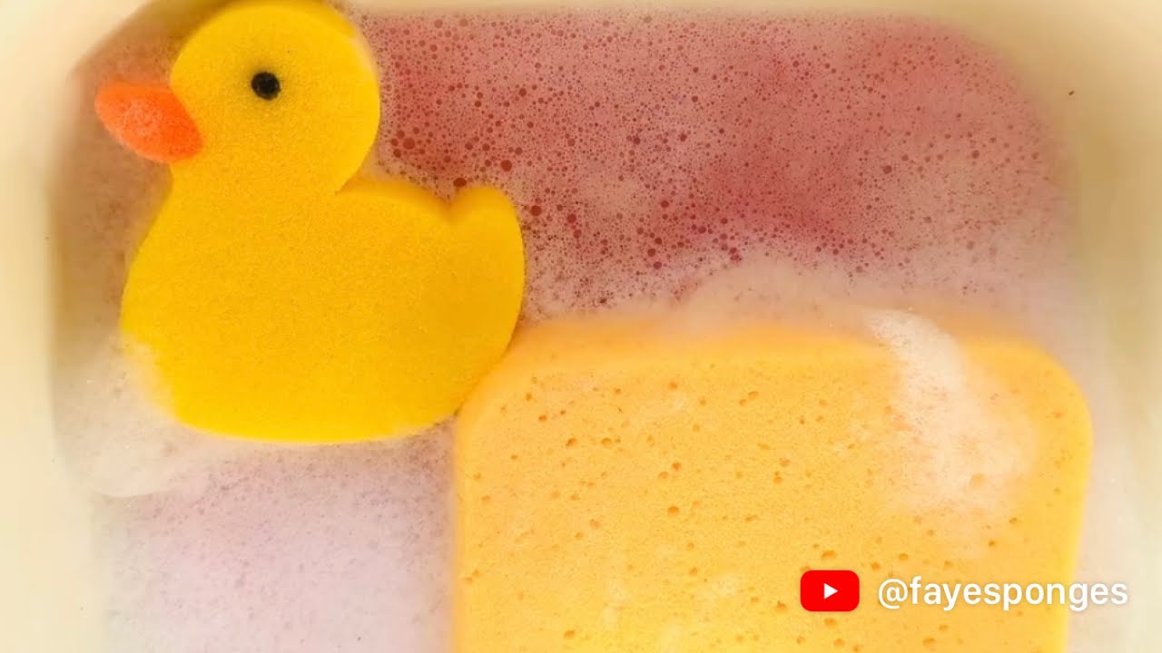 ASMR floor cleaner duck & grout sponge squeeze rip. Ripping soapy sudsy ...