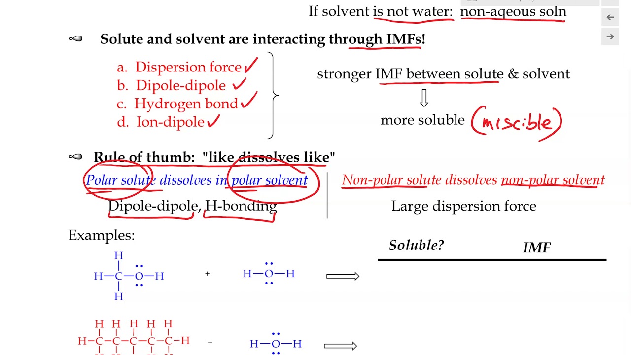Beginning Chemistry - The Importance of IMFs in Solution - YouTube