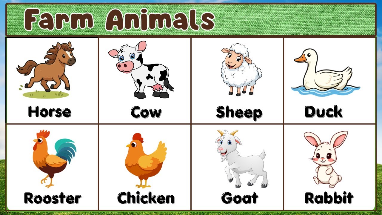 Learn Farm Animals | Fun & Educational Preschool Video - YouTube