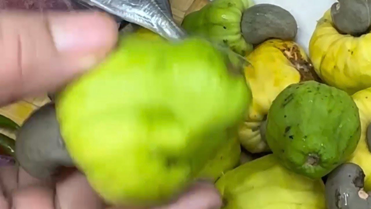 Sayur lemok jambu golok - YouTube