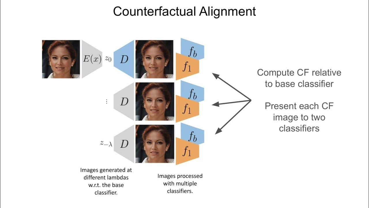 Identifying Spurious Correlations using Counterfactual Alignment - YouTube