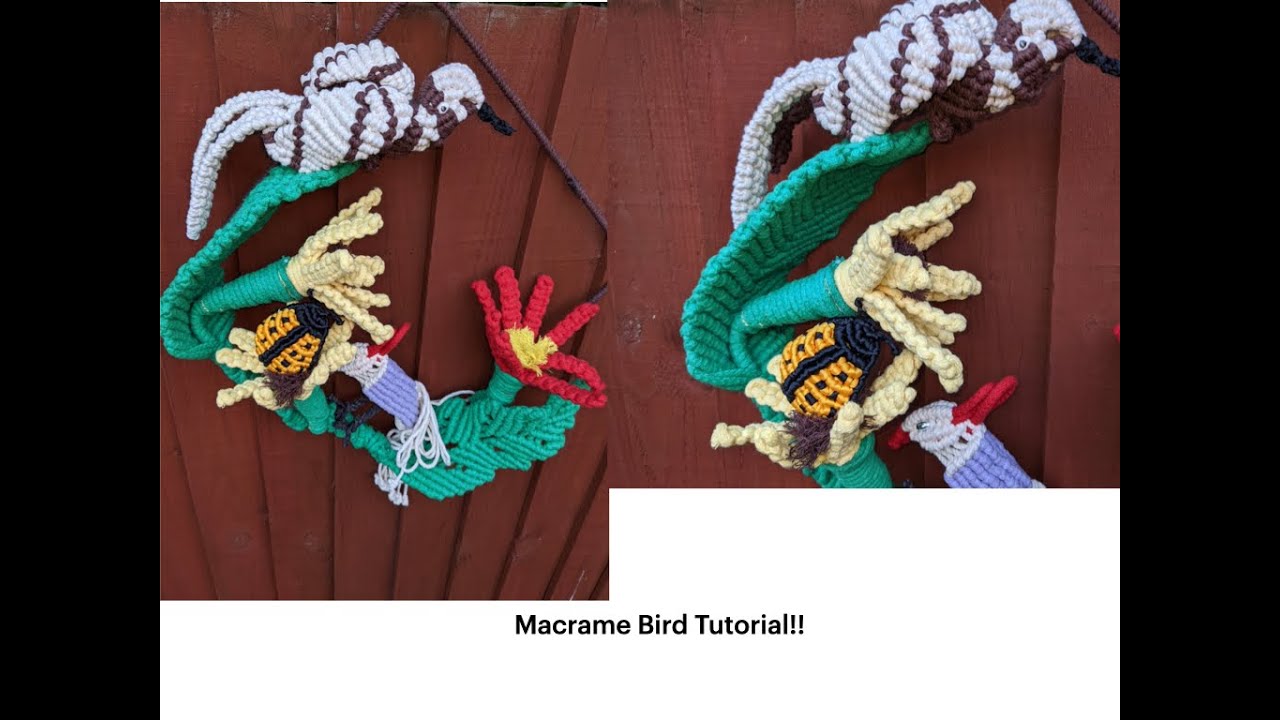 Macrame Bird Tutorial!!(Part-3) - YouTube