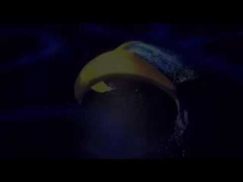 Georgia/Akil/Grammnet/CBSTVD/BET Logos (2011) - YouTube