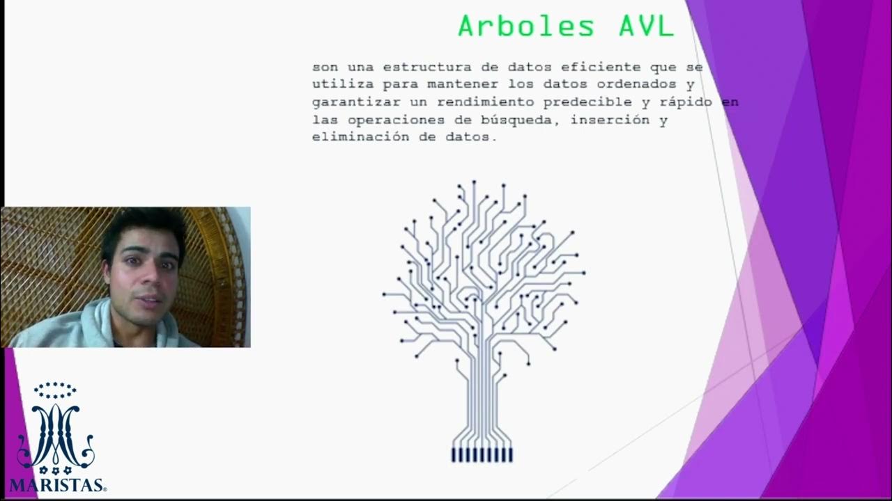 Arboles AVL Estructura de Datos (UMG) - YouTube