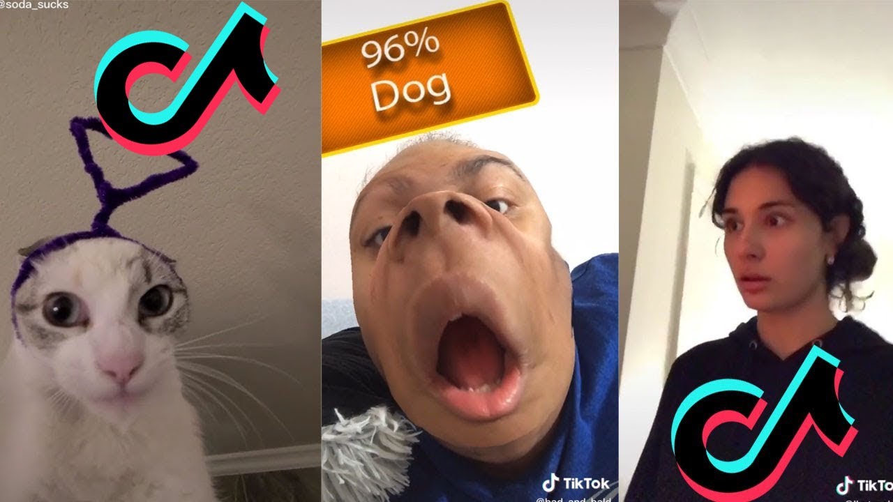 tik tok cringe compilation that will have you screaming - YouTube