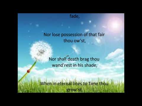 sonnet 18 karaoke rap version - YouTube